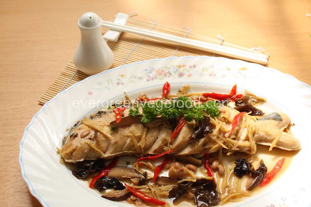 Golden Fish 黃金魚 | Evergreen